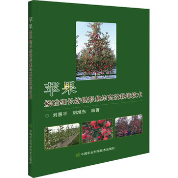 苹果矮砧细长纺锤形集约高效栽培技术