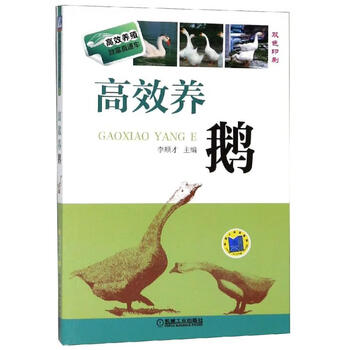 高效养鹅