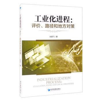 工业化进程：评价、路径和地方对策