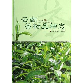 云南茶树种志 9787541665998
