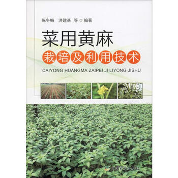 菜用黄麻栽培及利用技术 练冬梅 等  书籍
