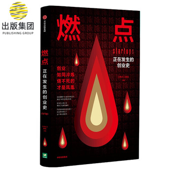 燃点(正在发生的创业史)