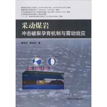 采动煤岩冲击破裂孕育机制与震动效应 曹安业,窦林名  书籍