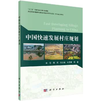 中国快速发展村规划 科学出版社