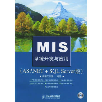 MIS系统开发与应用【正版图书，放心下单】