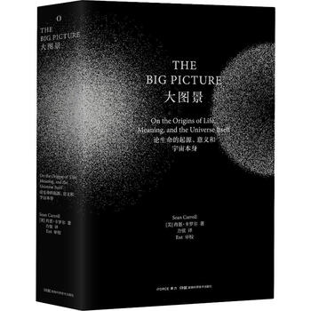 大图景 论生命的起源、意义和宇宙本身 书籍