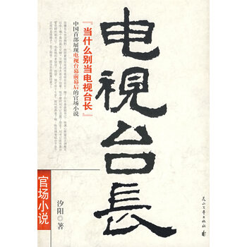 电视台长【正版图书】