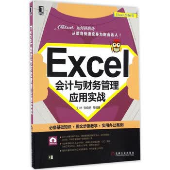 Excel会计与财务管理应用实战