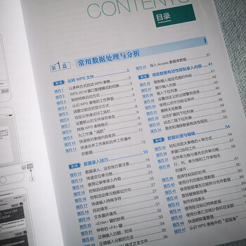WPS表格实战技巧精粹 Excel Home 编 书籍