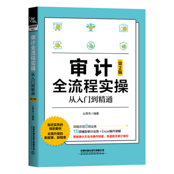 审计全流程实操从入门到精通（第2版）