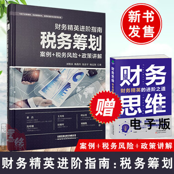 正版书籍 财务精英进阶指南：税务筹划（案例+税务风险+政策讲解）刘继承 林燕玲 钮彦平 杨定国 财务管理基础知识税务筹划一本通