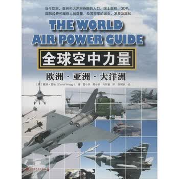 全球空中力量  