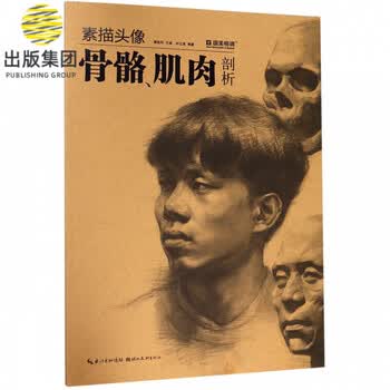 素描头像骨骼肌肉剖析/国美格调