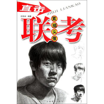 素描头像 王冰 作 书籍