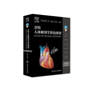  奈特人体解剖学彩色图谱 解剖图谱第七版局部解剖系统格氏解剖神经临床解剖基础教材人卫医学法医解刨解破书