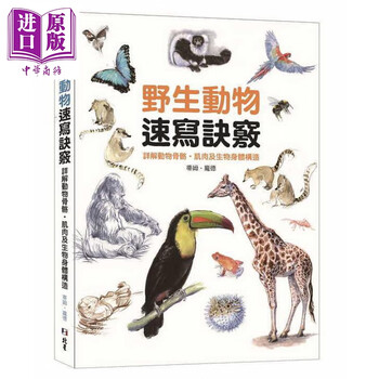 野生动物速写诀窍 详解动物骨骼 肌肉及生物身体构造 港台原版 蒂姆 庞德 北星
