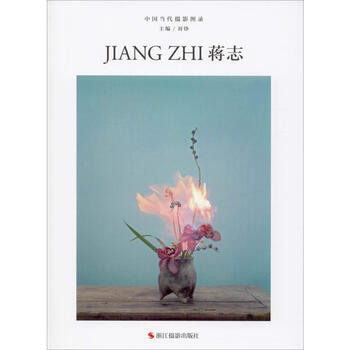 中国当代摄影图录 蒋志 刘铮 编 书籍