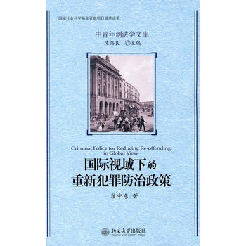国际视域下的重新犯罪防治政策【正版书】