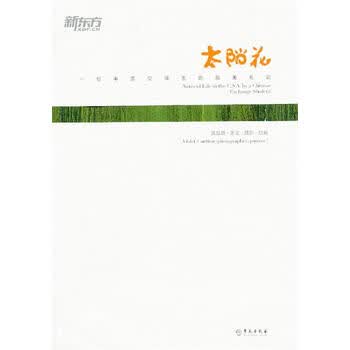 太阳花:一位中国交换生的留美札记【正版图书，放心下单】