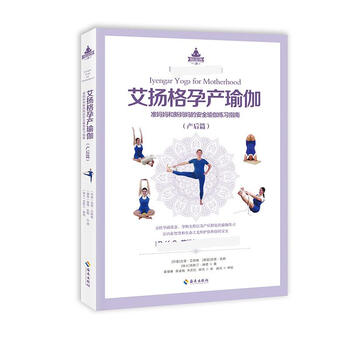 艾扬格孕产瑜伽 海南出版社 