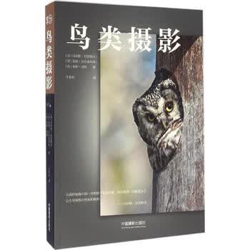 鸟类摄影 