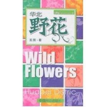 华北野花