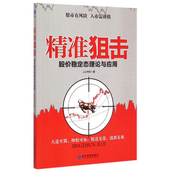 精准狙击(股价稳定态理论与应用)