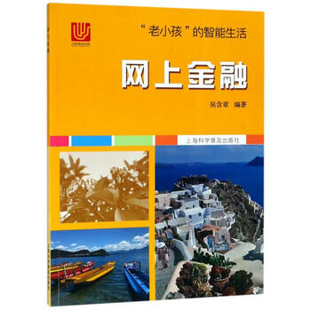 网上金融 吴含章  书籍