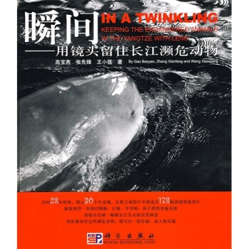 瞬间用镜头留住长江濒危动物
