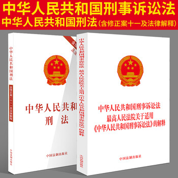2021年新版 中华人民共和国刑法（含修正案十一）+最高人民法院关于适用刑事诉讼法的司法解释