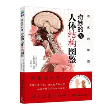 化的痕迹-奇妙的人体结构图鉴科普读物  图书