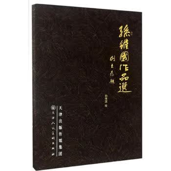 孙维国作品选 孙维国 绘 书籍