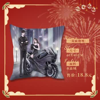 新年福利 无属性 双面立体牌、双面抱枕、细闪色纸、吧唧、精美挂画、全套礼包 青春言情无属性 双面抱枕