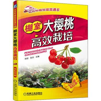 棚室大樱桃高效栽培