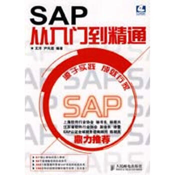 SAP从入门到精通 文洋，尹风霞  书籍