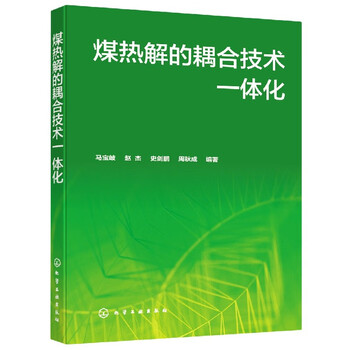 煤热解的耦合技术一体化
