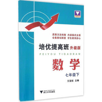 培优提高班(升级版)数学7年级.下