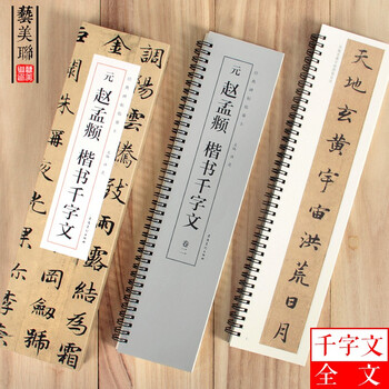 共2本 元赵孟頫 楷书千字文 经典碑帖临摹卡 洪亮 近距离临帖卡 临字卡【千字文全文】现货秒发货