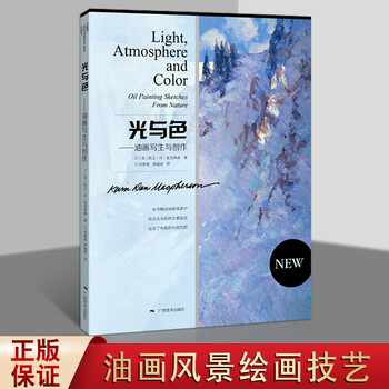 光与色 油画写生与创作 油画书籍 绘画 油画技法美术书籍 广西美术出版社