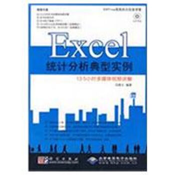 Excel 统计分析典型实例（1DVD）