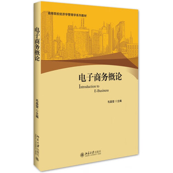 电子商务概论 北京大学旗舰店正版