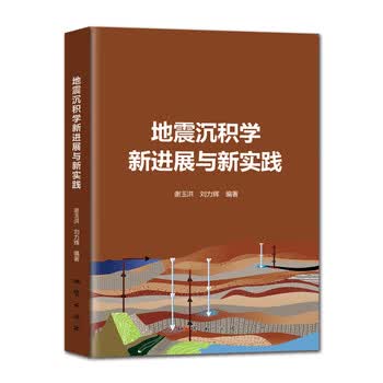 [正版图书]地震沉积学新进展与新实践