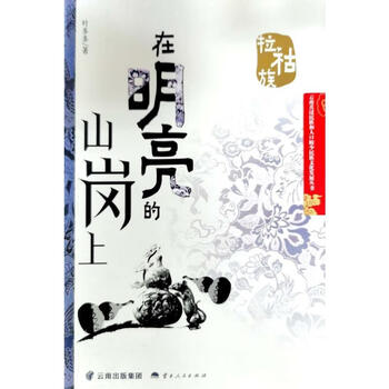 在明亮的山岗上 图书