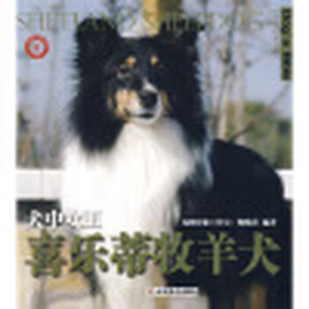 世界名犬驯养宝典 犬中女王：喜乐蒂牧羊犬