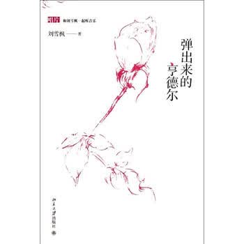 弹出来的亨德尔  刘雪枫  书籍
