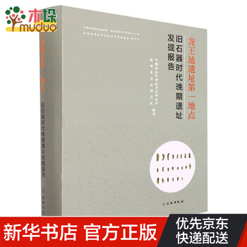 龙王辿遗址第一地点——旧石器时代晚期遗址发掘报告
