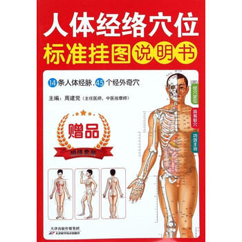人体经络穴位标准挂图