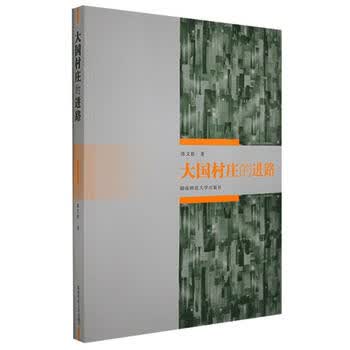 大国村庄路 陈文胜 湖南师范大学出版社有限公司 9787564840020 建筑 书籍