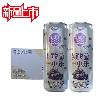 康师傅 新品小酪多多巨峰葡萄乳酸菌310ml*12罐/24罐风味酸奶味饮料 小酪多多葡萄味310ml*24罐【图片 价格 品牌 报价】-京东
