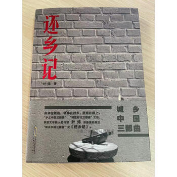 【正版图书】还乡记 叶炜 安徽文艺出版社
